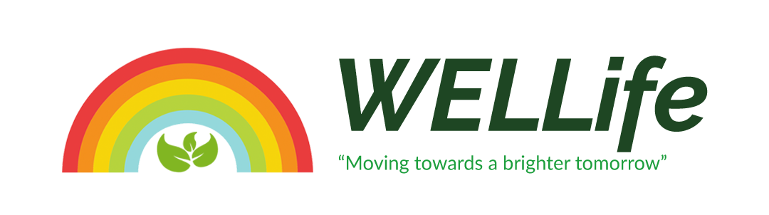 Introducing WELLife: Earn Sustainable Income WIth This Lifetime Business